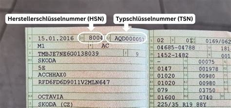 Hsn Und Tsn Nummern Hsn Und Tsn Nummer Finden Wfhp