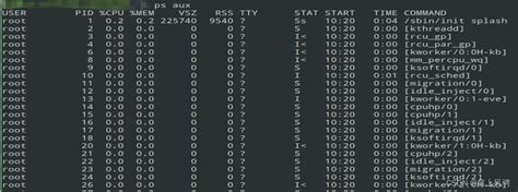 Linux查看进程