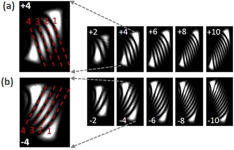 Measured Diffraction Patterns Of Vortex Beams With L ±2 ±4 ±6 ±8