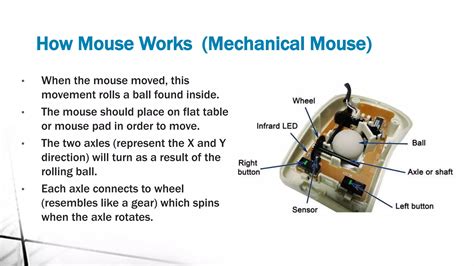 Presentation On Computer Mouse PPTX