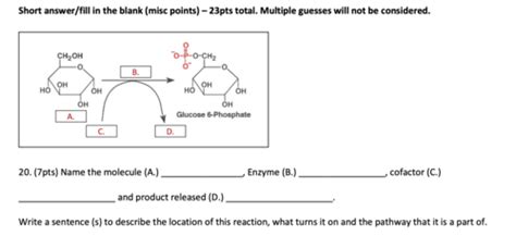 Biochem Exam 3 Homework Flashcards Quizlet