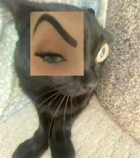 Raising Eyebrows Face Meme