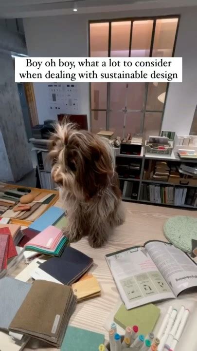 Elsebeth Dahl Pedersen Posted On Linkedin