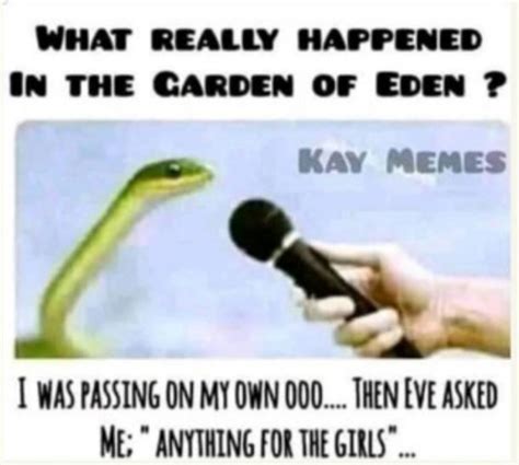 Grammatical Errors Adverts Go Wrong Pictures Jokes Etc 5 Nigeria