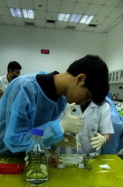 Barcoding Bacterial Dna Hands On Activities For King Henry Viii