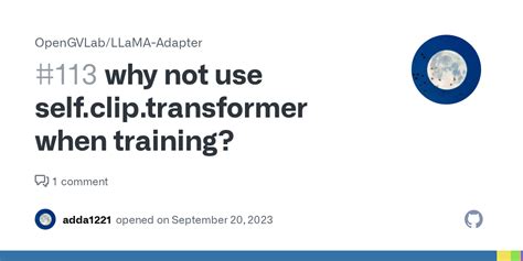 Why Not Use Self Clip Transformer When Training Issue OpenGVLab LLaMA Adapter GitHub