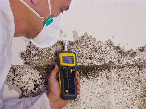 Termite Protection In Melbourne Fumapest Termite And Pest Control
