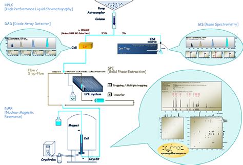 Hplc Analysis