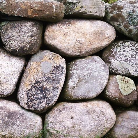 New England Fieldstone Rounds Veneer Stone Curators