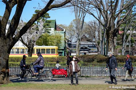 Koganei Park The 2000 Cherry Trees In The West Of Tokyo
