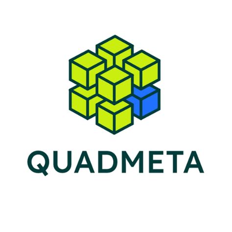 Quadmeta Bim Youtube