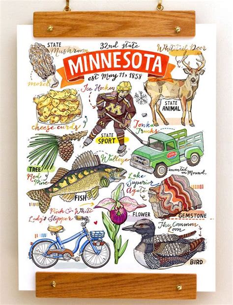 Minnesota State Print Illustration Map State Symbols Bird Flower North