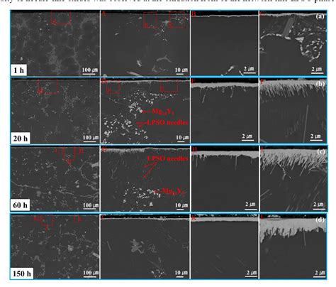 Figure 3 From The Effect Of Lpso Phase On The High Temperature Oxidation Of A Stainless Mg Y Al