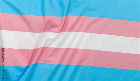 Transsexual Flag Blowing In The Wind The Transgender Flag Full Page