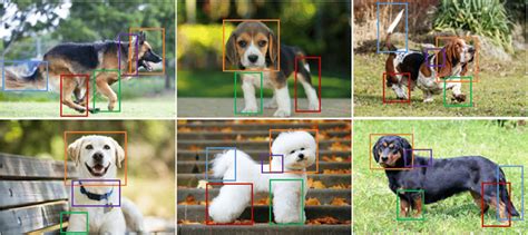 Discriminative Parts Detection Using Yolov3 Download Scientific Diagram