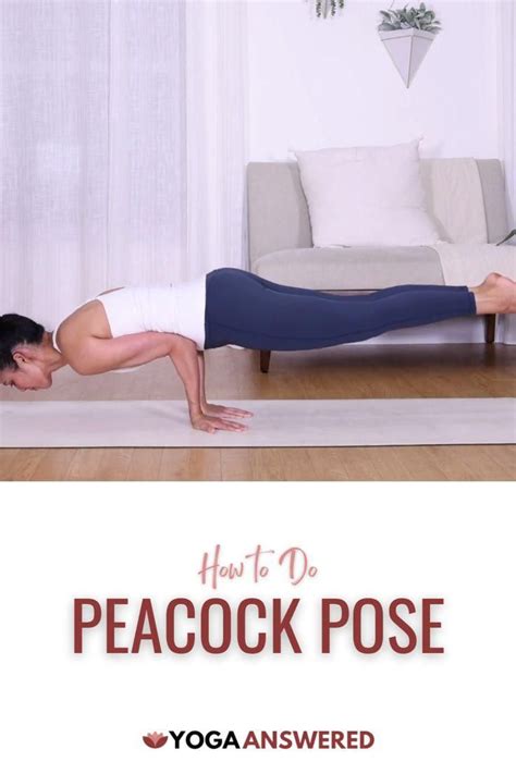 How To Do Peacock Pose In Yoga Artofit