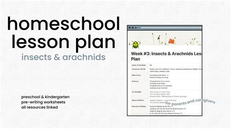 Lesson Plan Intro To Insects And Arachnids