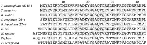 Comparison Of The N Terminal Amino Acid Sequence Of As 15 1 Fumarase
