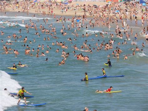 Pollution Staphylocoque Doré Sur Les Plages
