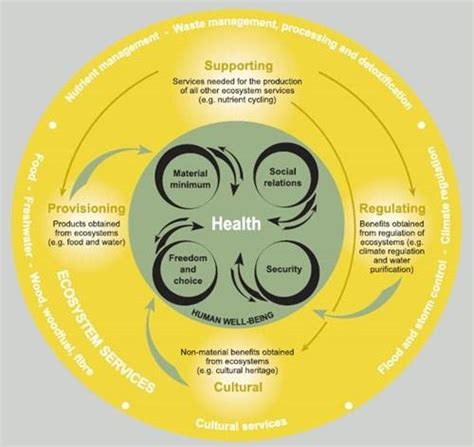 Interrelationship Between Ecosystem Services Aspects Of Human