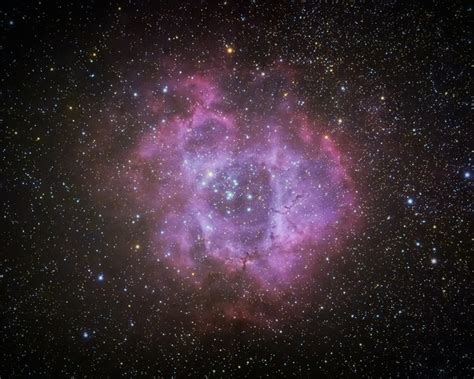 Rosette Nebula Astrobin