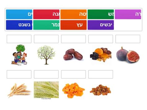 טו בשבט התאמה