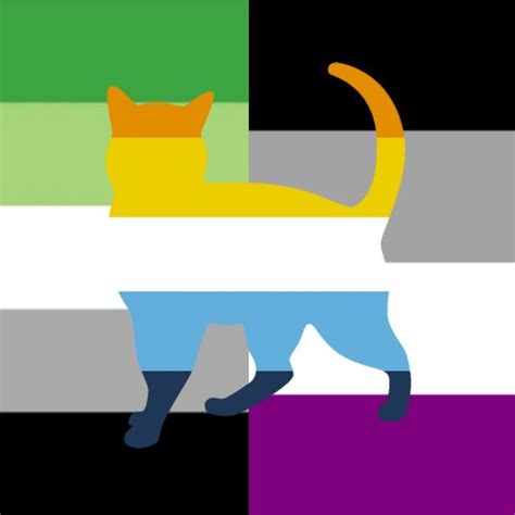 160 Aroace Aromantic And Asexual Memes Ideas Asexual Asexual Humor