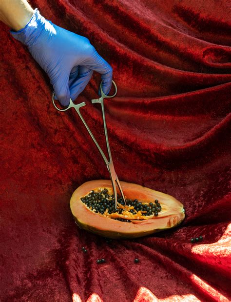 Catherine Lecomte Massart X Sowa