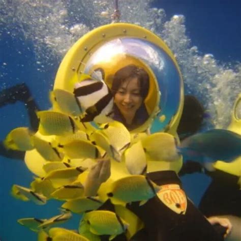 Top 10 Oahu Activities For Solo Travelers Hawaii Travel Guide