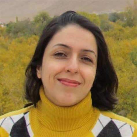 Doctor Elham Saremi University Of Southampton