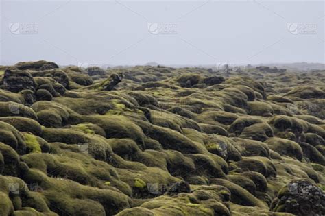 苔藓火山岩自然水平画幅熔岩地质学无人户外摄影