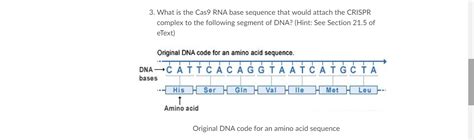 Solved How Do I Determine The Cas9 Rna Base Sequence 3 What Is The