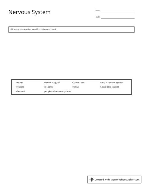 Nervous System My Worksheet Maker Create Your Own Worksheets