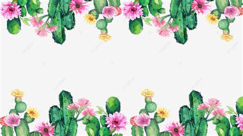 Cactus Border Botanical Watercolor Watercolor Cactus Frame Png