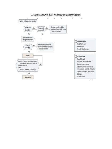 Algoritma Identifikasi Pasien Sepsis Dan Syok Sepsis Pdf