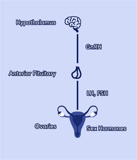 Cycle Science — Learn Body Literacy