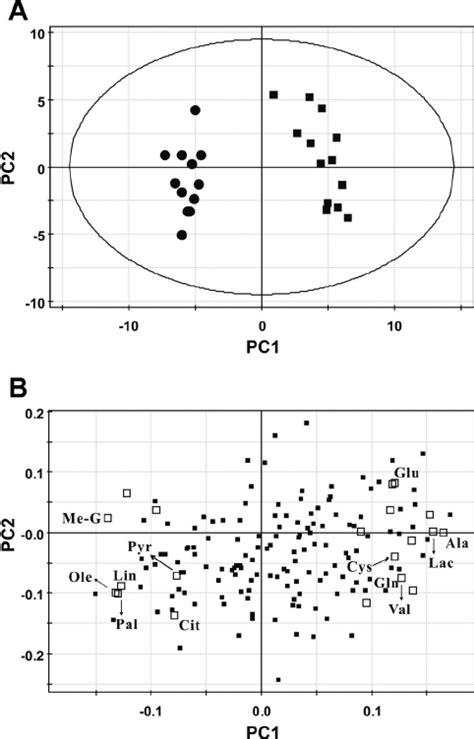 A Partial Least Squares Projection To Latent Structures And