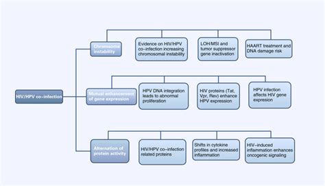 Impact Of Hiv On Hpv Related Cancers In Men Who Have Sex With Men A