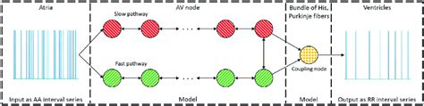 A Schematic Representation Of The Network Model Where The Yellow Node Download Scientific