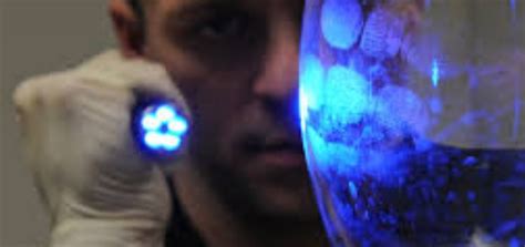 How Uv Light Reveals Hidden Evidence At Crime Scenes Tank007