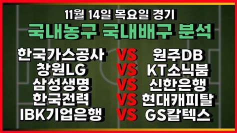 토토분석 스포츠분석 프로토분석 11월14일 Kbl 프로농구 국내농구 V리그 국내배구 주요경기분석 Youtube