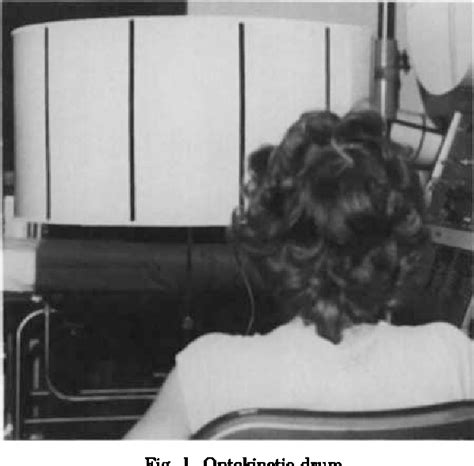 Figure 1 From The Optokinetic Test And The Eng Test Battery Semantic