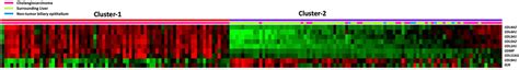 A Published Transcriptome Dataset Of Intrahepatic Cholangiocarcinoma