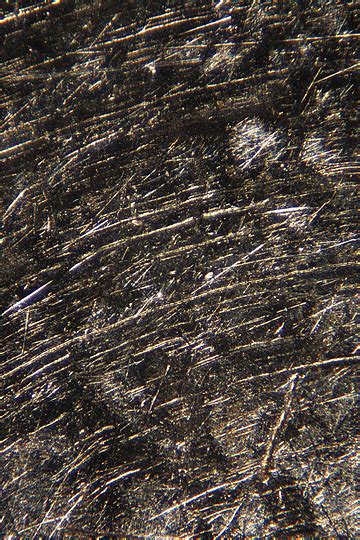 Micrograph Background Images Hd Pictures And Wallpaper For Free Download Pngtree