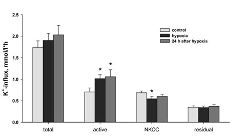 Hypoxia Induced Alteration Of Ion Transport In Wt Erythrocytes Download Scientific Diagram