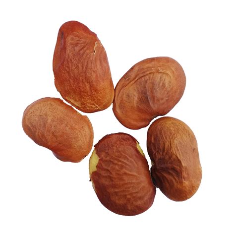 Neem Karanj And Lemon Herbal Shampoo Ban Labs Pvt Ltd