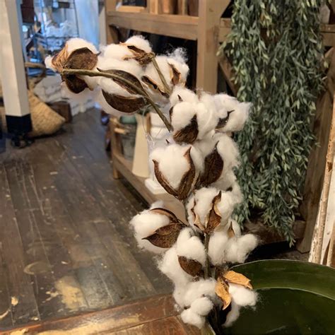 Floral Stem Cotton Stem 32″ Rusted Fence