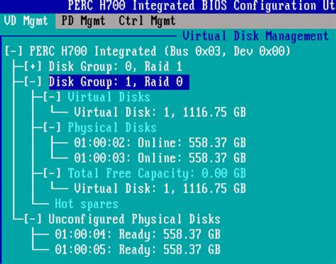 Dell Server How To Create Raid Using Perc H700 Integrated Bios Configuration Utility
