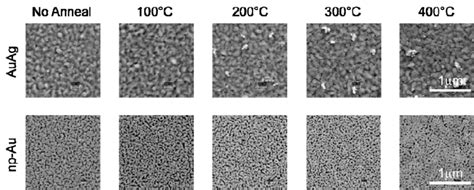 Displays The Percent Porosity And Average Pore Radius Of The Np Au