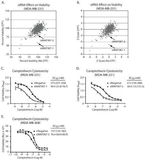 Sirna Screen And Follow Up Dose Response Analysis Download Scientific